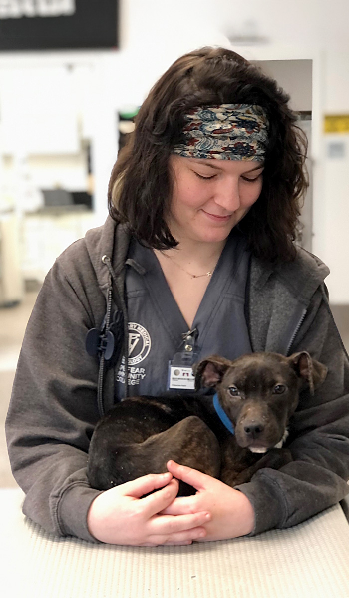 Veterinarian in Middletown, NY | Quality Pet Care LLC